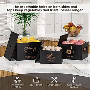 DALSHABET Potato and Onion Storage Bins, Premium Pantry Organizers and Storage, Bamboo Vegetable Garlic Keeper Solutions for an Organized Kitchen Black