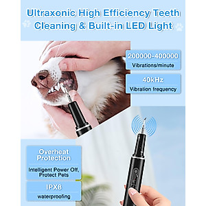 YXFAIRY Dog Tartar Remover for Teeth, Dog Plaque Remover for Teeth, Dog Ultrasonic Teeth Cleaner Toothbrush for Dog Cat, Teeth Cleaning Kit -Tartar Remover for Teeth Stains (Black, 8.46 in)
