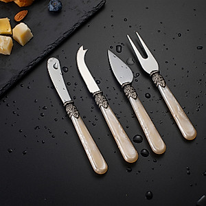 CATHYLIN 4-Pierce Cheese Knife Set For Charcuterie Board,Stainless Steel Cheese Knife Set With Acrylic Handle (Champagne,Gift Ready)