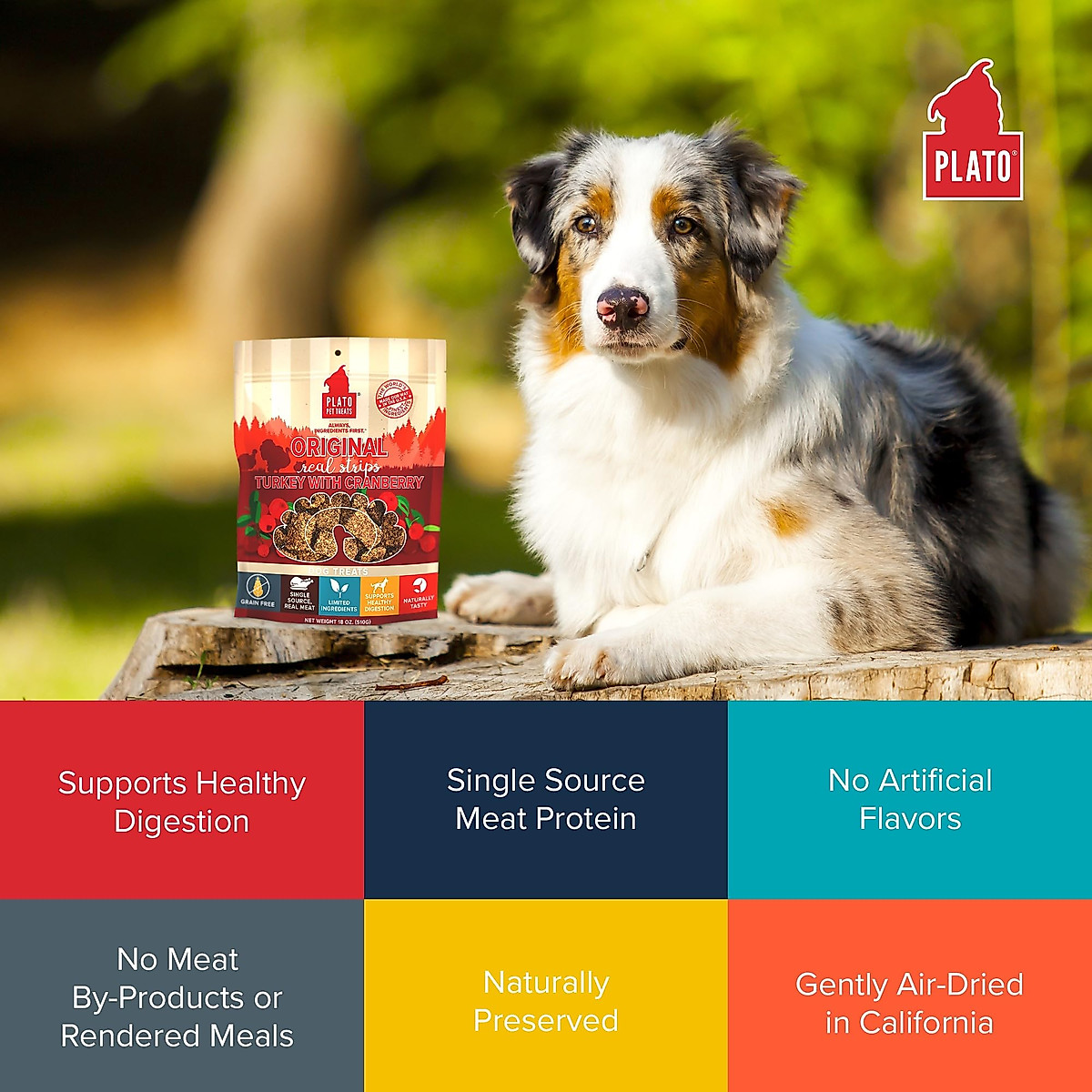 PLATO Turkey Real Strips Natural Dog Treats - Real Meat - Air Dried - Made in the USA - Turkey & Cranberry, 18 ounces