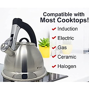 Whistling Tea Kettle with iCool - Handle, Surgical Stainless Steel Teapot for Stovetop, 2 FREE Infusers Included, 3 Quart by Pykal