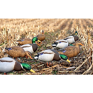 Flambeau Outdoors 8700FBU Storm Front 2 Mallard Decoys, Full Body - 6-Pack
