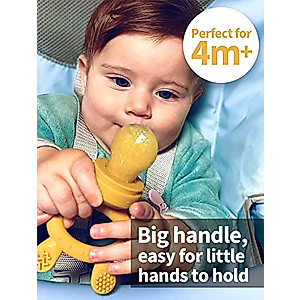 Haakaa Baby Fruit Food Feeder & Silicone Nibble Tray Combo - Breastmilk Popsicle Mold for Teething, Silicone Pacifier Feeder and Teether for Baby Teething & Infant Self Feeding