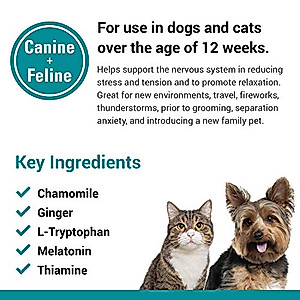 Vet Classics Stress Away Calming, Anxiety Aid for Dogs and Cats – Soft Chew Pet Health Supplement for Dogs, and Cats - Melatonin, Ginger – 65 Soft Chews