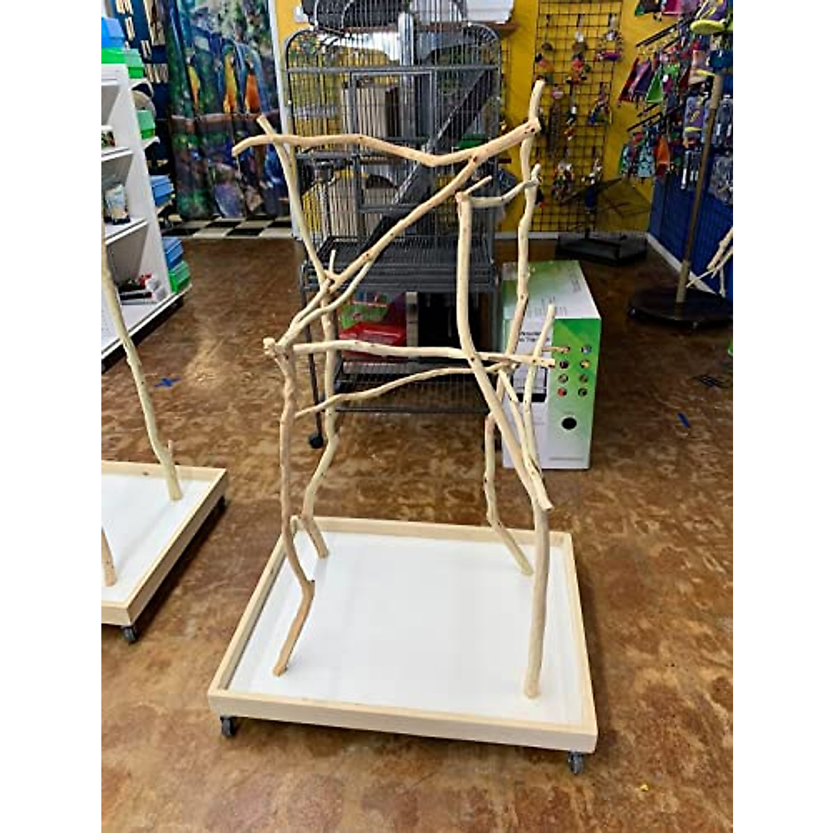 ExoticDad XS Parrot Stand - Customize Your Perch Designed Natural Dragonwood Bird Perch on Wheels Stand for Parrot, Cockatoo, Macaw, Conure, Birds, Cockatiel, African Grey - (24×36 Ft - B - 4 Ft H)