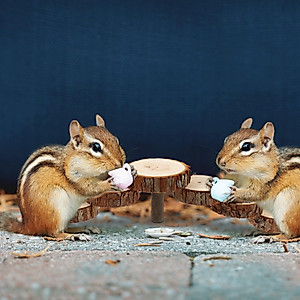 Wooden Hamster Ladder Bridge,Small Animals Climbing Ladder Activity Set Platform Ramps Playground Toys for Parrot Ferret Squirrel Hamster Rat Small Animals Little Rodent to Play and Exercise