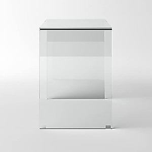 Neos Modern Furniture CD008-N Rectangular Shaped PC Laptop Workstation Table for Home Office, Clear