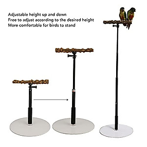 ASHATA Play Stand, Bird Perch, Portable Detachable Play Stand for Indoor Outdoor Traveling Birds to Stand, Climb or Play