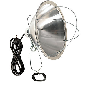 Woods Clamp Lamp with 10 Inch Reflector and Bulb Guard (300 Watt Bulb, 6 Foot Cord)