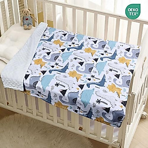 Donsonny Baby Blanket for Boys Girls Soft Minky with Double Layer Dotted Backing, Color Dinosaurs Printed 30 x 40 Inch Receiving Blanket