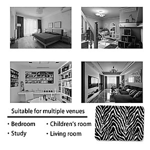 Washable Area Sponge Rug Mat for Kids Girls Bedroom Living Room Zebra, Wild Animals Zebra Skin Fashion Black White Non-Slip Carpet Super Soft Extra Thick Bathroom Dorm Home Indoor Small Floor Rugs