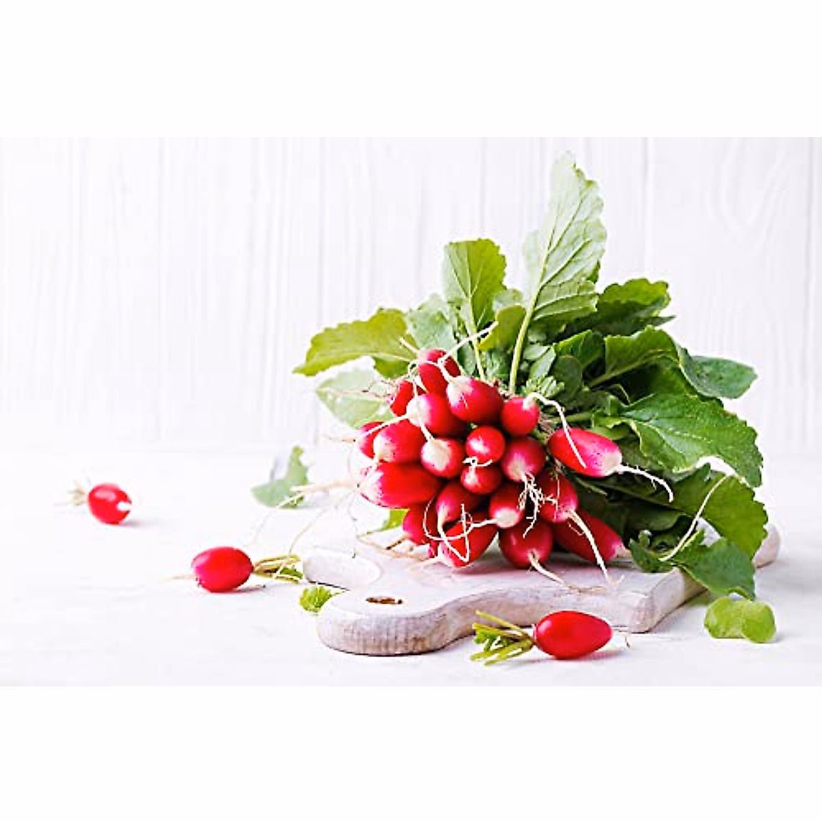 French Breakfast Radish Seeds for Planting, 200+ Heirloom Seeds Per Packet, (Isla's Garden Seeds), Non GMO Seeds, Botanical Name: Raphanus sativus, Great Home Garden Gift