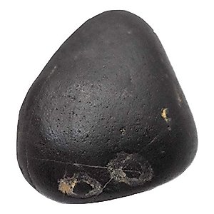 Rudrakshguru Matsya Shaligram - Gandaki River Nepal