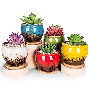 ARTKETTY Succulent Pots - 4 Inch Ceramic Succulent Planters with Drainage Tray Set of 6, Small Cactus Pots for Indoor Plants Colorful Flower Plant Pots for Desk Windowsill