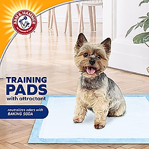 Arm & Hammer for Dogs Puppy Training Pads with Attractant | New & Improved Super Absorbent, Leak-Proof, Odor Control Quilted Puppy Pads with Baking Soda| 50 Count Wee Wee Pads