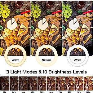 ULANZI T3 Phone Stand for Recording, Overhead Phone Mount with Ring Light, Adjustable Desk Arm Stand for iPhone, Desktop Stand for YouTube Starter Live Stream Cooking Painting Nail Video Recording