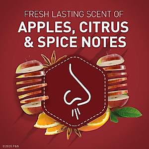 Old Spice Aluminum Free Deodorant for Men, Bearglove, 24/7 Odor Protection, 3.0 oz (Pack of 3)