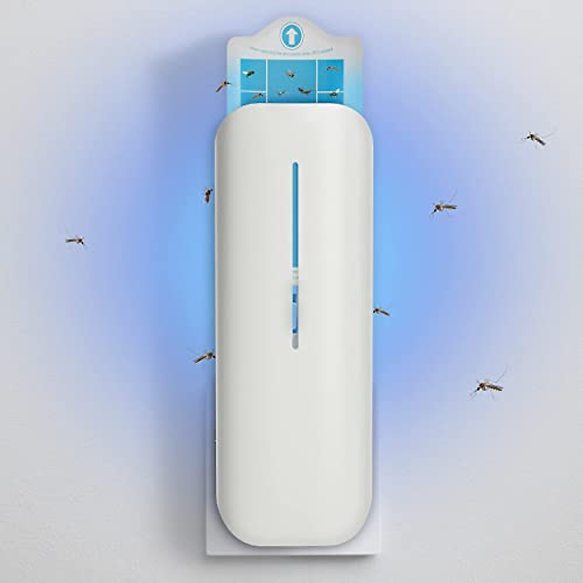 Meilen Bug Zapper, Fruit Fly Traps for Indoors - Silent Mosquito Killer for Home & Office, 375 Sq.ft Coverage Flying Insect Trap for Gnats, Aedes & Other Insects, 3 Glue Cards Included