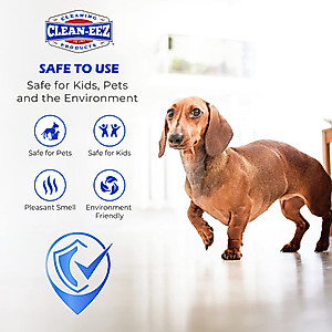Clean-eez Ultimate Floor Restorer & Polish - Revitalize, Protect, Shine Wood, Laminate, Vinyl, Bamboo, Slate, Terracotta & More (1 Bottle)