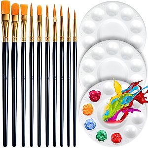FANDAMEI Round Paint Tray Palettes and Paint Brushes Set, Paintbrushes, 3 PCS Plastic Paint Palettes Pallets, 10 PCS Acrylic Paint Brushes, Nylon Hair Painting Brushes, for Acrylic Oil Watercolor