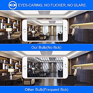 24-Pack A19 LED Light Bulb, 60 Watt Equivalent, Daylight 5000K, E26 Medium Base, Non-Dimmable LED Light Bulb, UL Listed