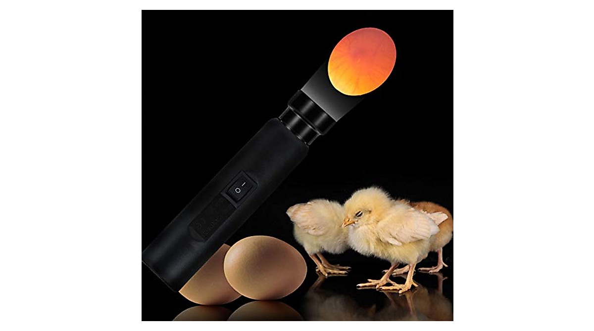 High-Intensity LED Egg Candler for Hatching Eggs