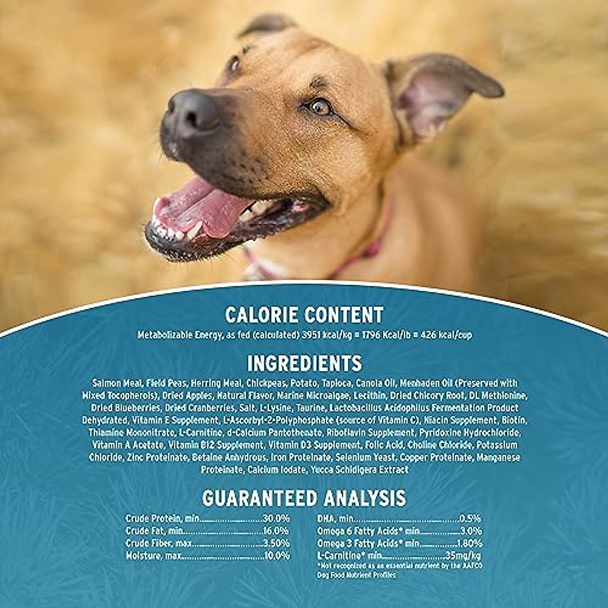 Annamaet Grain-Free Aqualuk Cold Water Fish Formula Dry Dog Food, (Salmon & Herring), 5-lb Bag