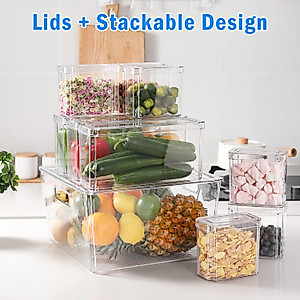 Pomeat 10 Pack Fridge Organizer with Lid Stackable Refrigerator Organizer Bins BPA-Free Fridge Organizers and Storage Clear Kitchen Cabinet Pantry Organization Fruit and Vegetable Storage Containers
