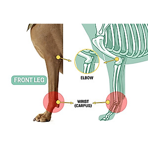 Lyderpet Dog Leg Brace Front Wrist or Carpal Support for Canine Dogs, Brace Compression Wraps with Metal Splints, Prevents Ankle Injuries&Sprains, Helps with Loss of Stability Caused by Arthritis