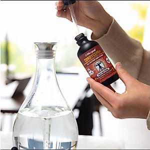 Life Cykel Cordyceps + Lions Mane Extract Performance Pack - Organic Mushroom Supplement for Energy, Focus & Mental Clarity - USA Made, Pure & Potent Mushroom Liquid Drops for Adults