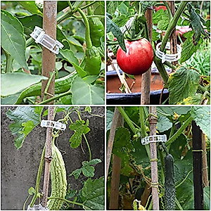 200 Pcs Tomato Clips, Plastic Trellis Clips Plant Support Clips, Plant Clips for Support, Grape Vine, Tomato Vine, Vegetables Plants, Garden Clips to Grow Upright Makes Plants Healthier