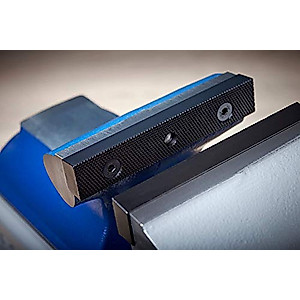 GRESSEL Swiss Precision Industrial Heavy Duty Bench Vise PS 100-1/3.9 inches with Serrated Jaws (PSM.100.000.01), Graphite