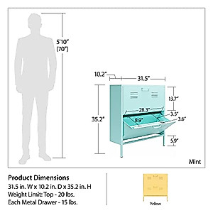 Novogratz Cache 2 Door Shoe Storage, Yellow