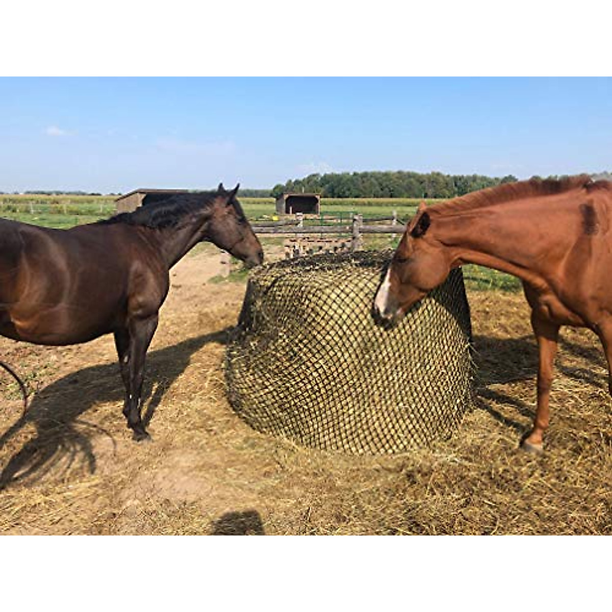 TECH EQUESTRIAN Upgraded 4-5mm Thick Round Bale Slow Feed Hay Net 5x4 (Hole_Size_2.5" inches)