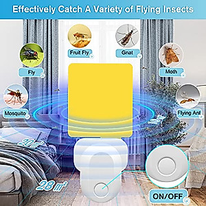 Flying Insect Trap Plug-in, 2023 Upgrade Plug-in Bug Catcher Mosquito Fruit Fly Trap Gnat Killer Indoor, Safe Non-Toxic UV Night Light Fly Trap with Sticky Trap for Flies, Gnats, Moths (2 Pack, White)
