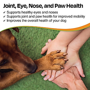 SeaBuck 7 Shiny Dog Sea Buckthorn Oil to Improve Dog Health (2-4 Month Supply, 60ml) – Supports Shiny Coat, Healthy Digestion, and Skin & Paw Pad Health for Dogs