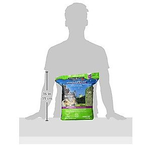Vitakraft Small Animal Timothy Hay for Guinea Pigs, Rabbits, and Chinchillas - 3.5 lbs