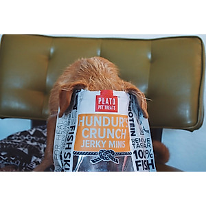 PLATO Hundur's Crunch Fish Dog Treats Variety Pack, (1) Fish Jerky Fingers 3.5oz and (1) Fish Jerky Minis 3.5oz, 7oz Total