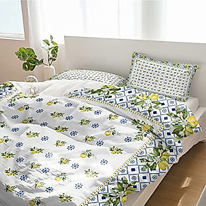 3 Pieces Duvet Cover California King Bedding Sets Summer Lemon Flower and Leaves Luxury Soft Comforter Cover with Pillowcases Retro Tile Lattice on White Microfiber Quilt Covers Set for Bedroom Decor