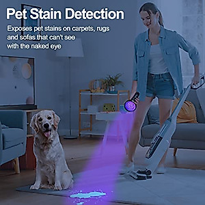 Vansky Black Light UV Flashlights, Ultra Bright 100 LED 395nm Ultraviolet Blacklight Detector for Dog Cat Pet Urine, Dry Stains and Bed Bug, Matching with Pet Odor Eliminator