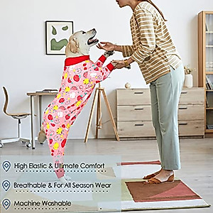 AOFITEE Dog Recovery Suit After Surgery Dog Onesie, Dog Surgical Recovery Shirt for Abdominal Wounds, Fruits Printed Dog Pajamas Bodysuit for Medium Large Dog Cone Alternative, Full Body for Shedding