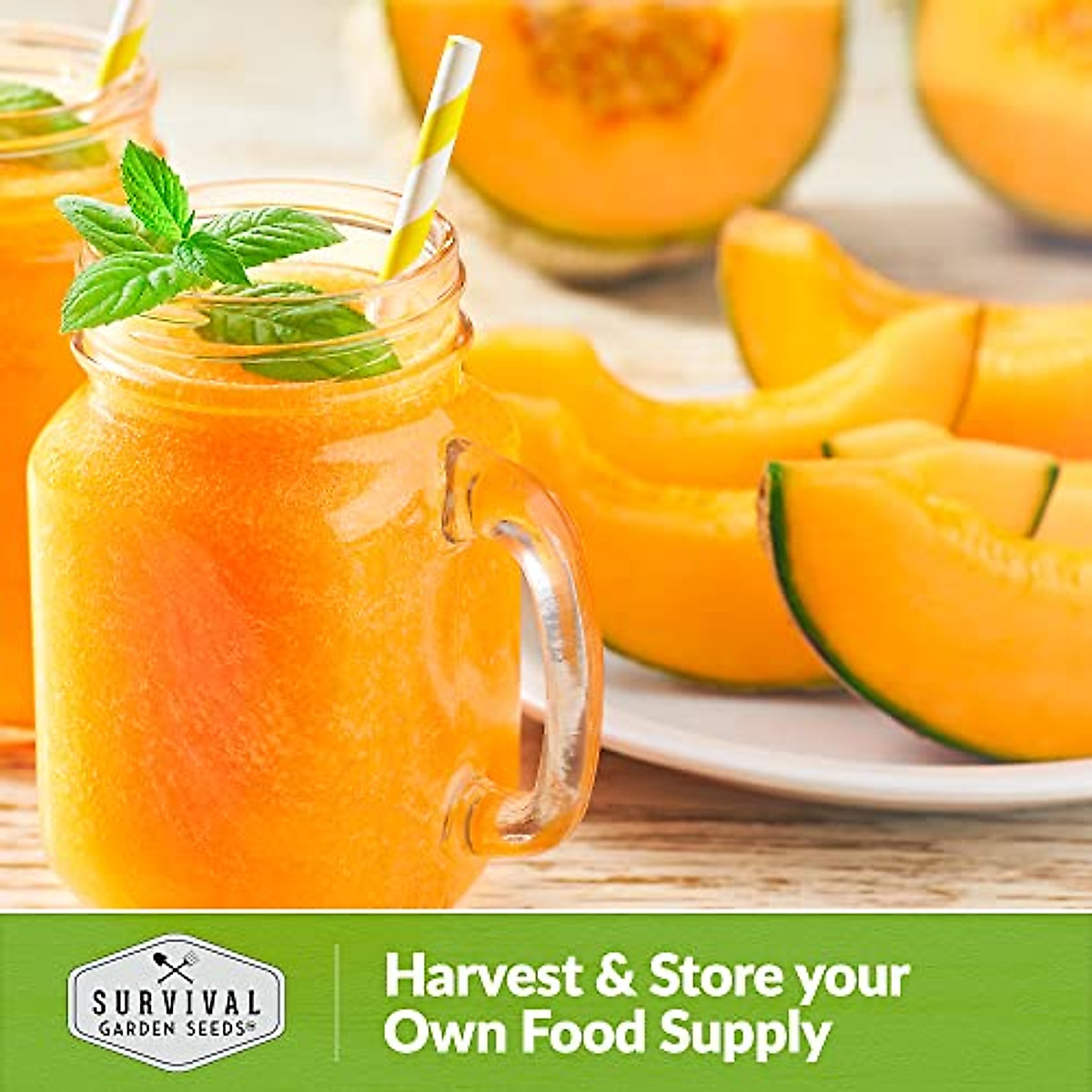 Survival Garden Seeds - Honey Rock Melon Seed for Planting - Packet with Instructions to Plant and Grow Sweet Delicious Cantaloupe Fruit in Your Home Vegetable Garden - Non-GMO Heirloom Variety