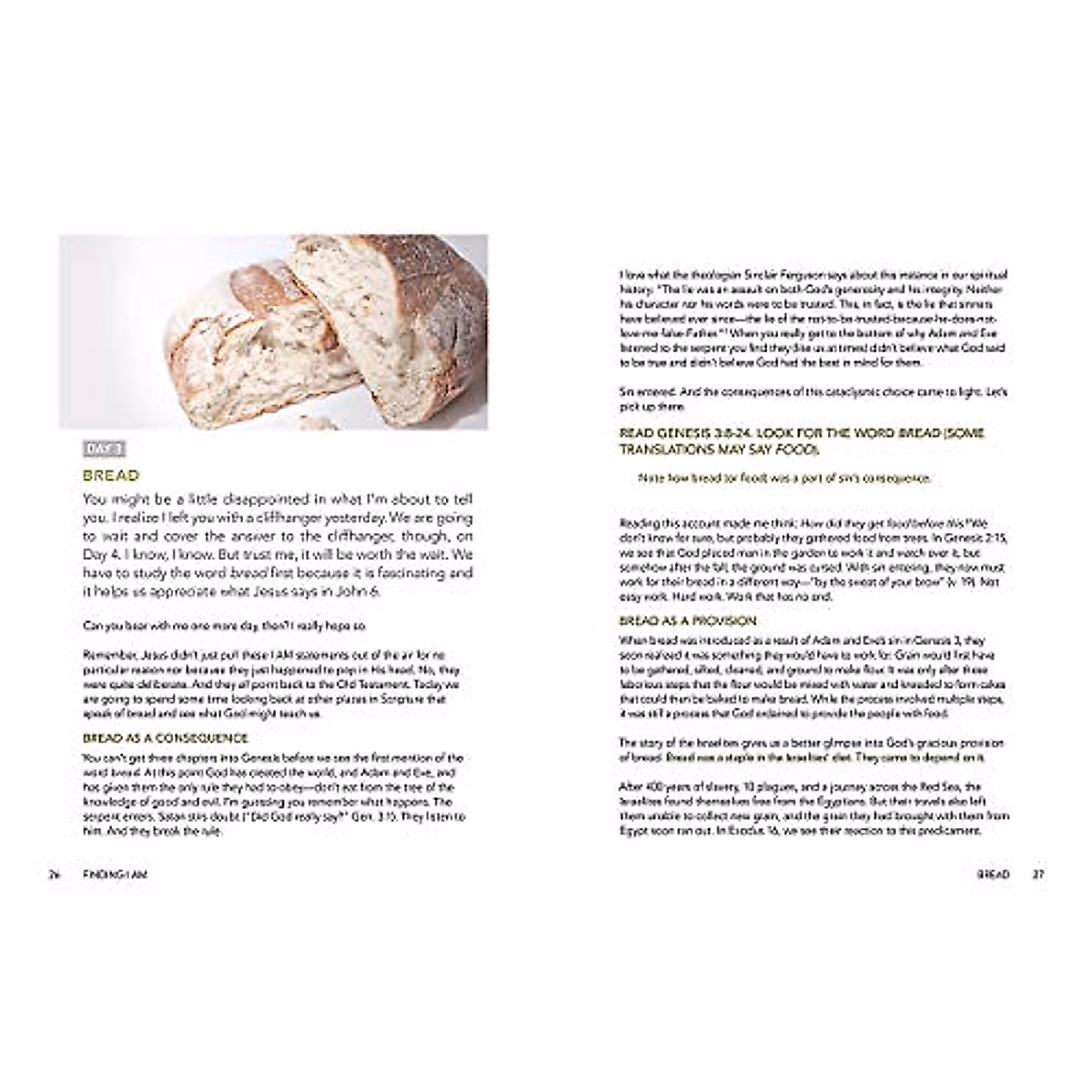 Finding I AM: How Jesus Fully Satisfies the Cry of Your Heart - Bible Study Book