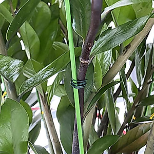 KINGLAKE GARDEN Green Flexible Paddle Wire,0.65 MM 328 Feet Green Florist Wire Floral Wire,Floral Bind Wire Floral Flexible Paddle Wire for DIY Craft, Holiday Decoration