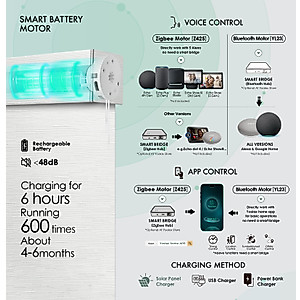 Yoolax Motorized Blinds with Remote, Blackout Smart Blinds Fabric Motorized Roller Shades Compatible with Alexa, Automatic Blinds for Windows Customized Size (Light Grey)