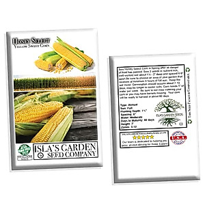 Honey Select Yellow Sweet Corn Seeds for Planting, 50+ Heirloom Seeds Per Packet, (Isla's Garden Seeds), Non GMO Seeds, Botanical Name: Zea Mays, Great Home Garden Gift