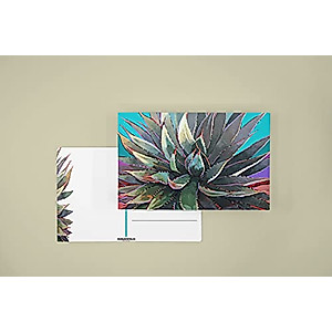 Stonehouse Collection Cactus Postcards - 4 x 6 Western Desert Postcards - 40 Postcards, 4 Different Cacuts Designs