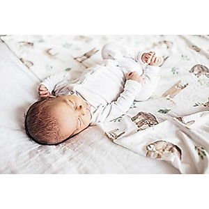 Copper Pearl Large Premium Knit Baby Swaddle Receiving Blanket Noah