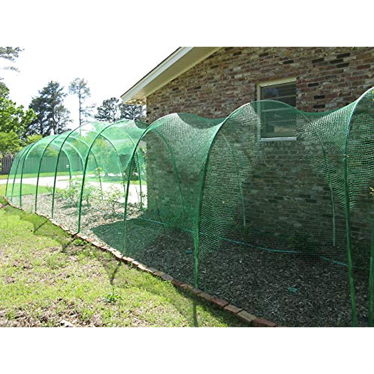 HSelar Best Bird Netting - Protect Plants and Fruit Trees from Birds and Wildlife – 13.12Ft x 49.2Ft Bird Netting with 50 Pcs Nylon Cable Ties - Reusable Instantly (Large Size)