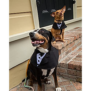 Dog Tuxedo Suit & Bow Tie Set by Pet Krewe, Stylish Wedding Tux Party Outfit for Small and Large Dogs
